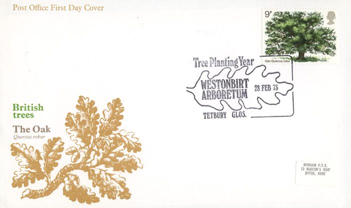 British Trees - The Oak