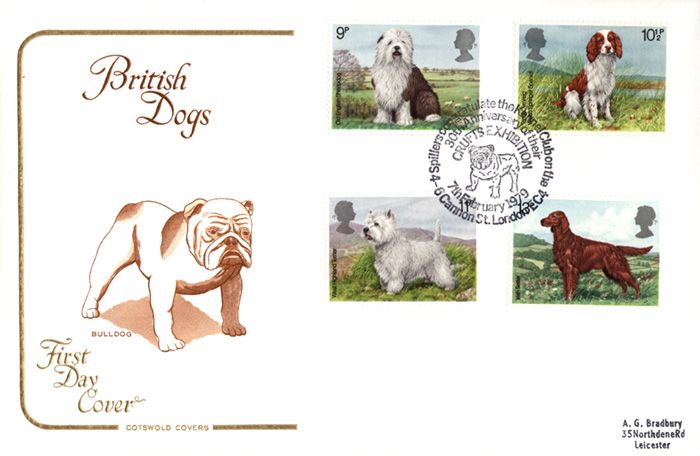 British Dogs