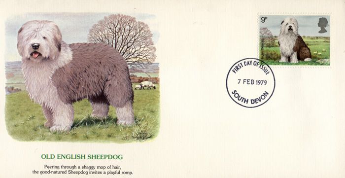 British Dogs