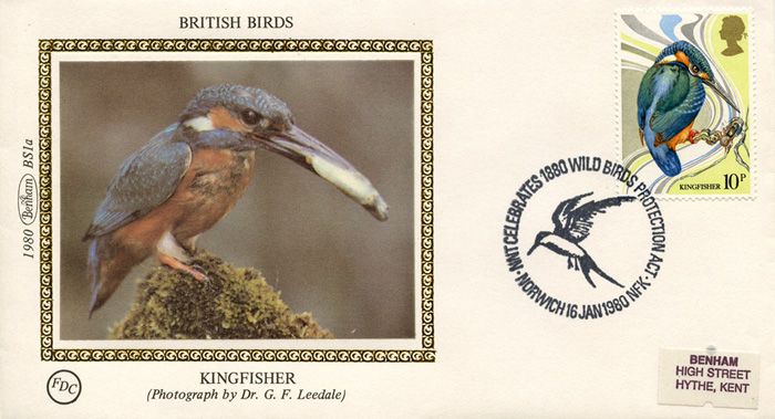 British Birds 1980