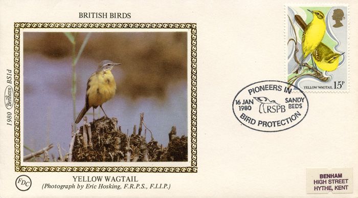 British Birds 1980