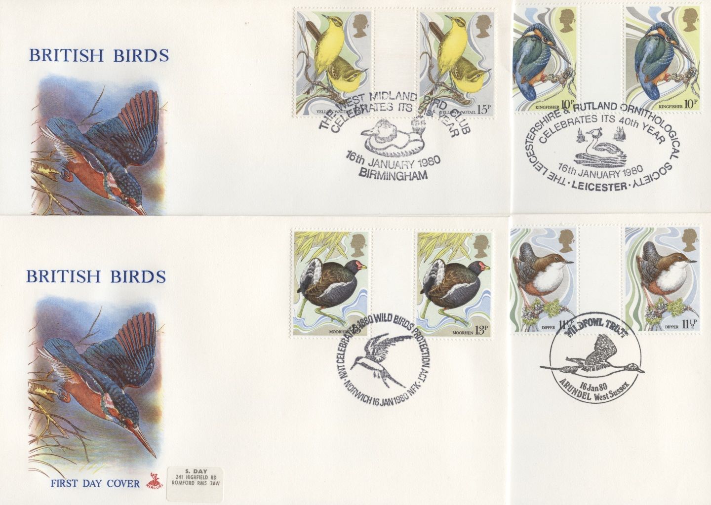 British Birds 1980