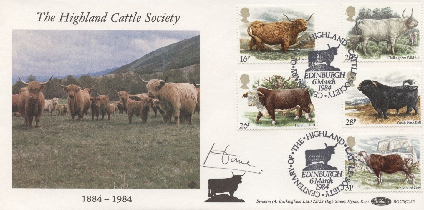 British Cattle